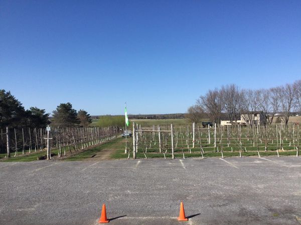 The Orchard - Recipes - Sweet Stuff